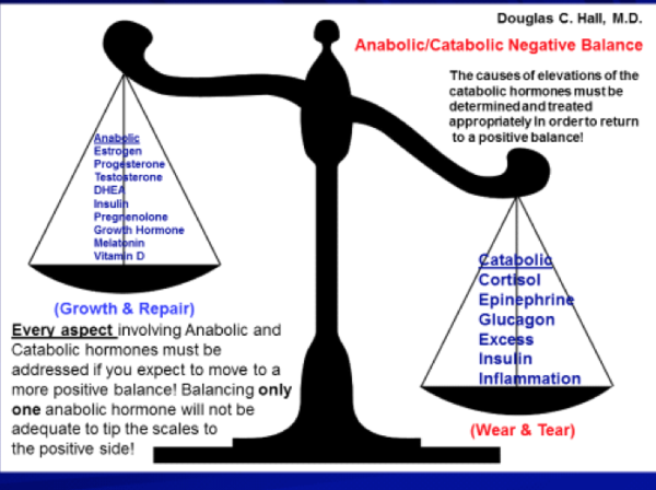 Anabolic/Catabolic Balance, The Key to Quality and Length of Life ...